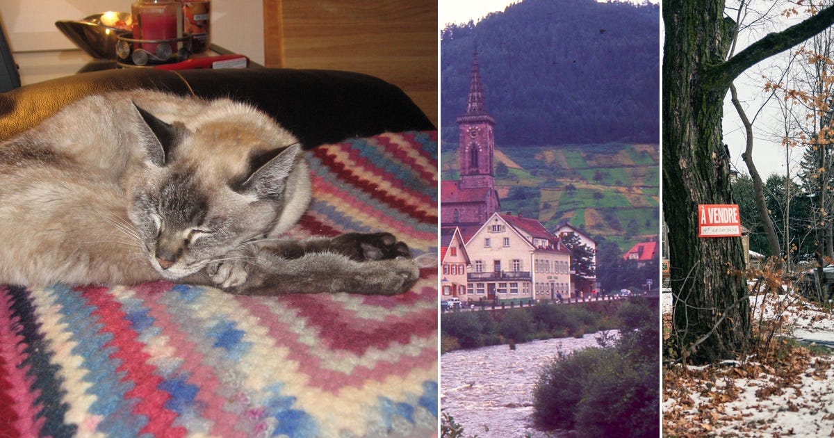 List: Boosted Stories | Curated by Chevie Hanssler | Medium