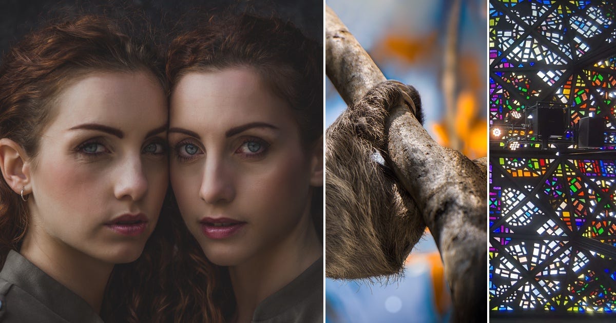 List: AI powered software development | Curated by Joel Rothman | Medium