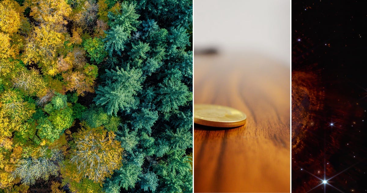 List: Reading list | Curated by Ilakkuvaselvi (Ilak) Manoharan | Medium