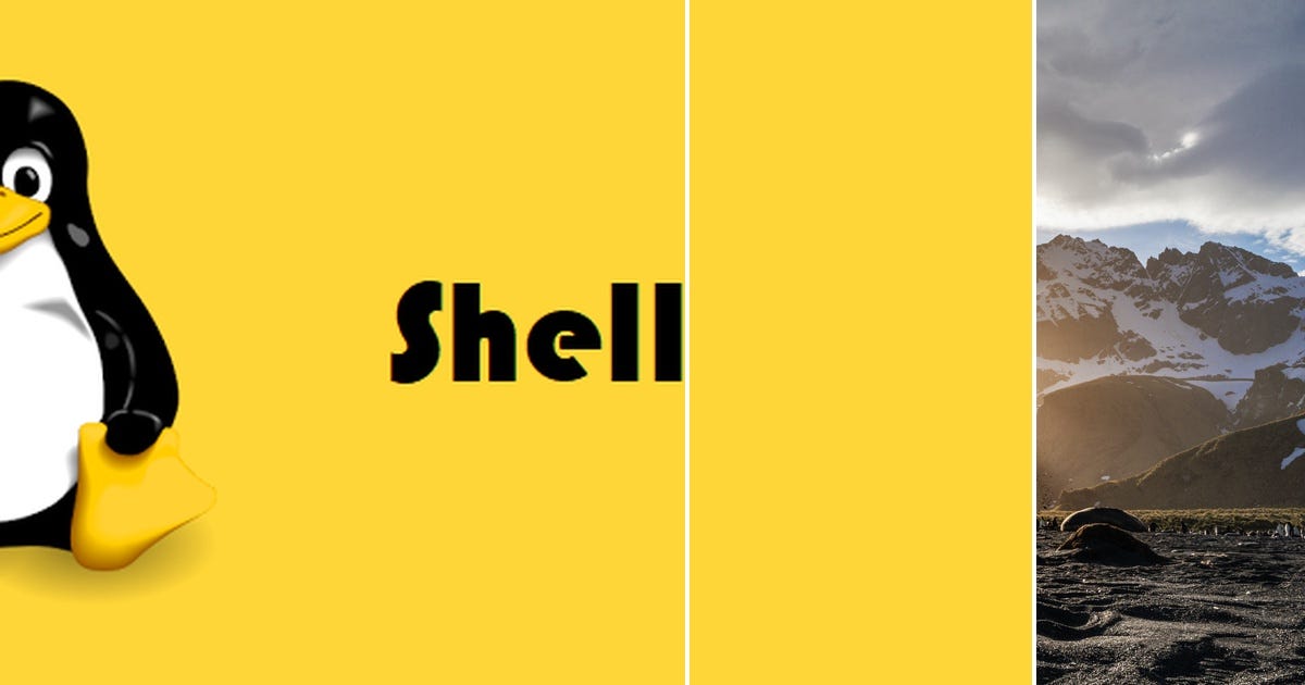 List: Shell | Curated by Aasaithambi | Medium