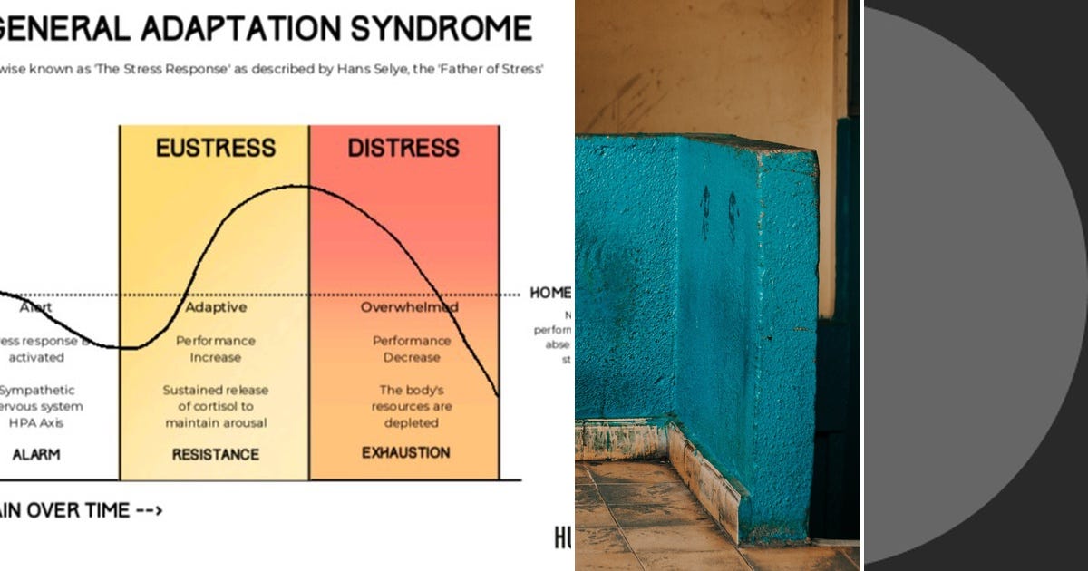 List: Education | Curated by Haichen Xu | Medium