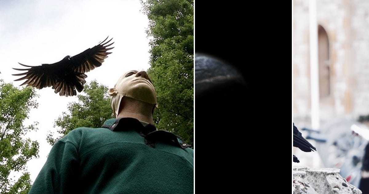 List: Corvus | Curated by Thaddeus | Medium