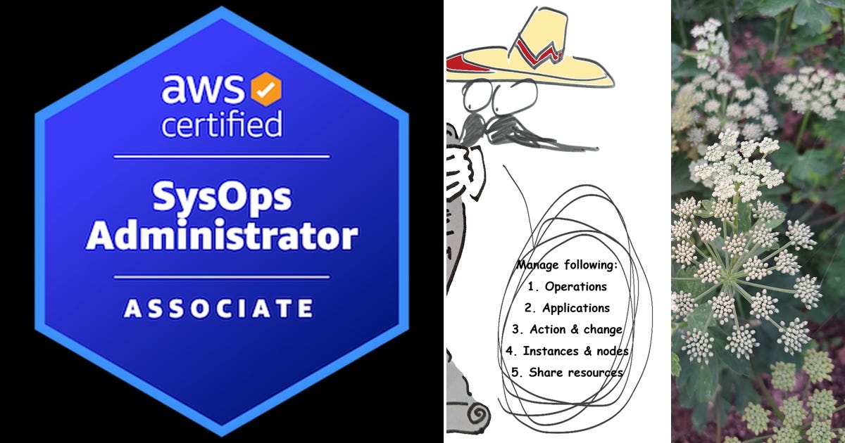 List: sysops | Curated by Manoj Kumar | Medium