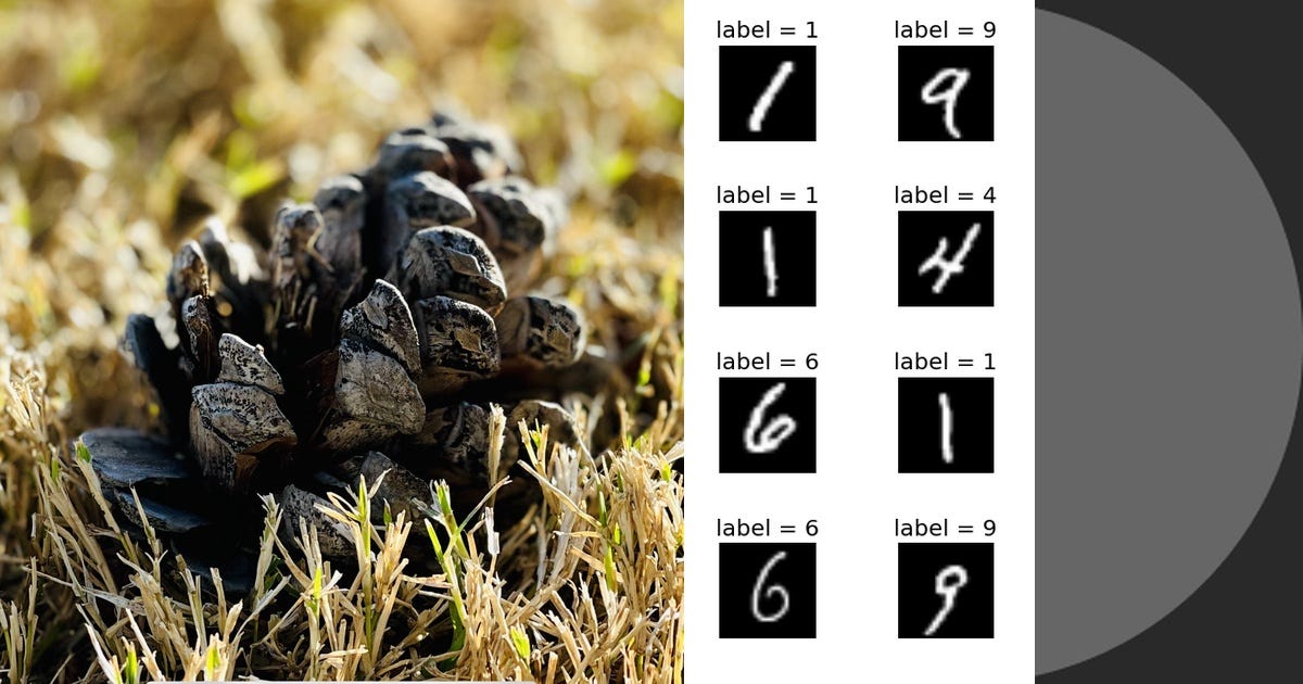 List: pyTorch | Curated by Jamin Chen | Medium