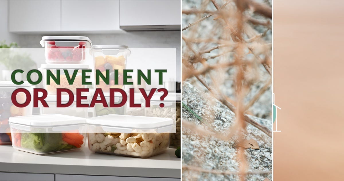 List: Python Renewable Energy Transition | Curated by Vikram Dutt | Medium