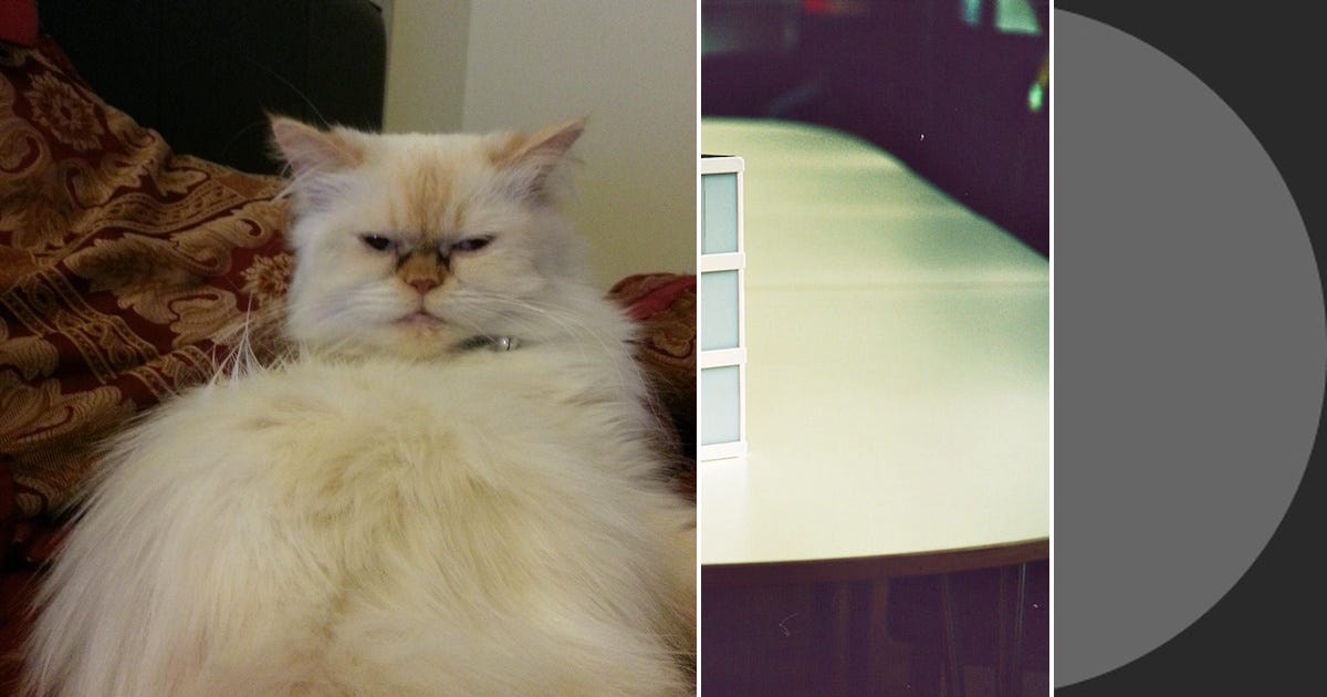 List: Sadly, I will miss you. | Curated by Lu Skerdoo | Medium