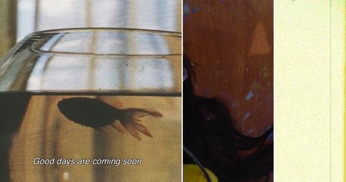 List: Life | Curated by precious de chavez | Medium