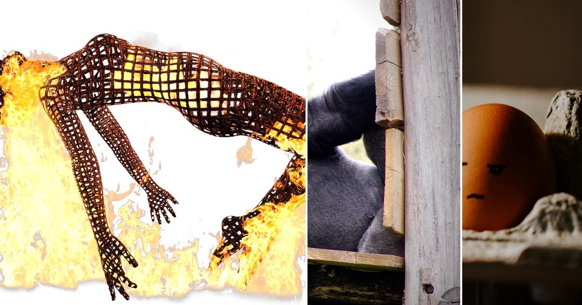 List: Gut, microbiome, probiotic | Curated by Clara Wong | Medium