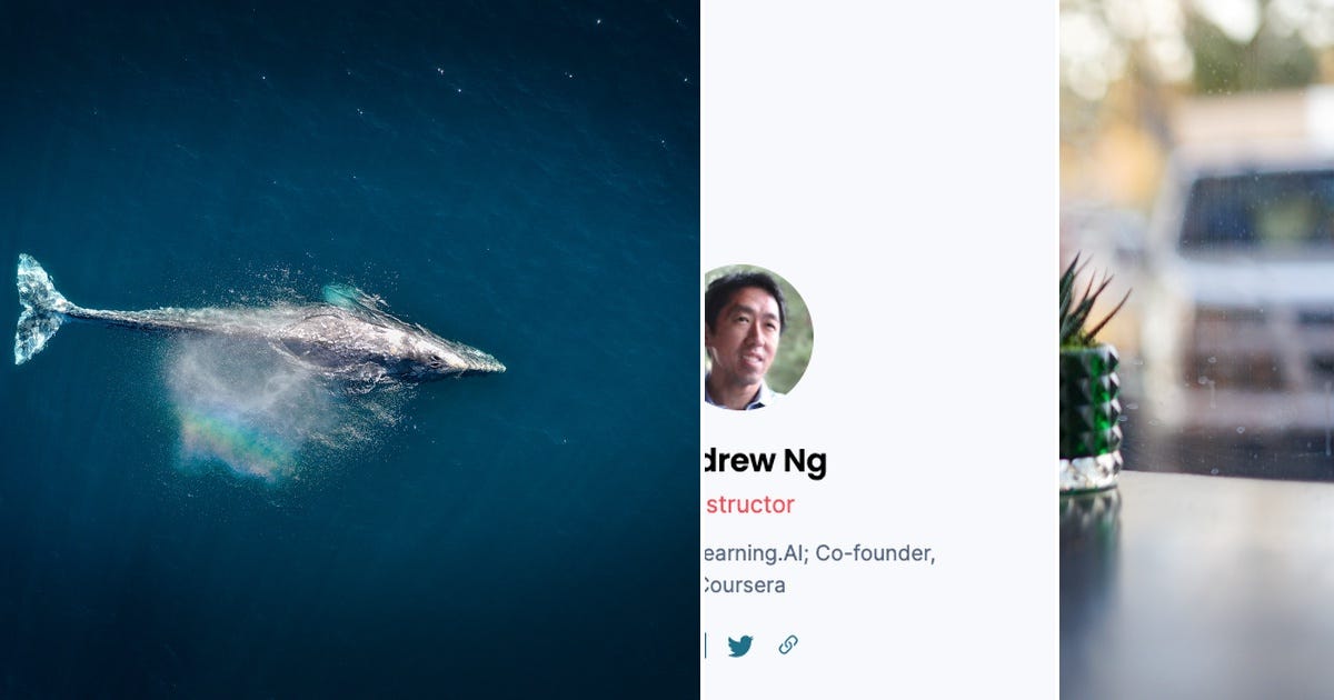 List: docker | Curated by Duy | Medium