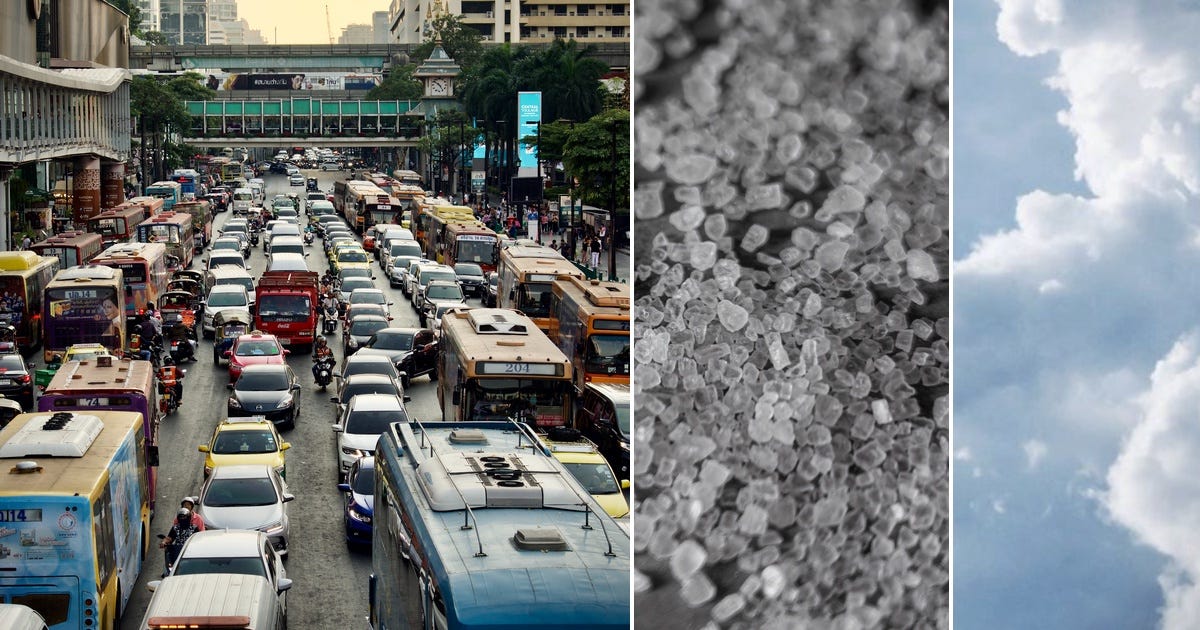 List: Environment | Curated by Sasha Fleming | Medium