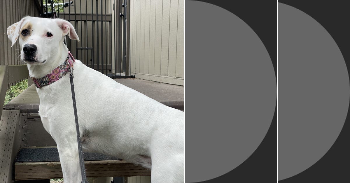 List: ADHD | Curated by Danijel Korent | Medium