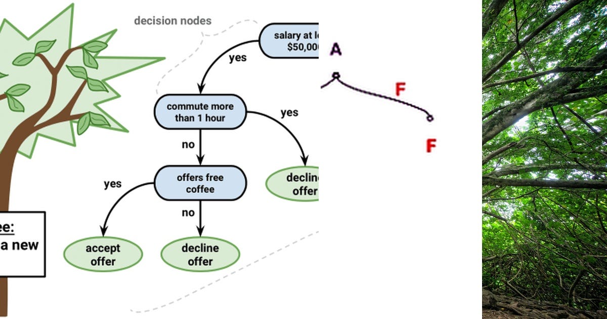 List: Algoritmos Decision Tree | Curated by Bruno Reis | Medium