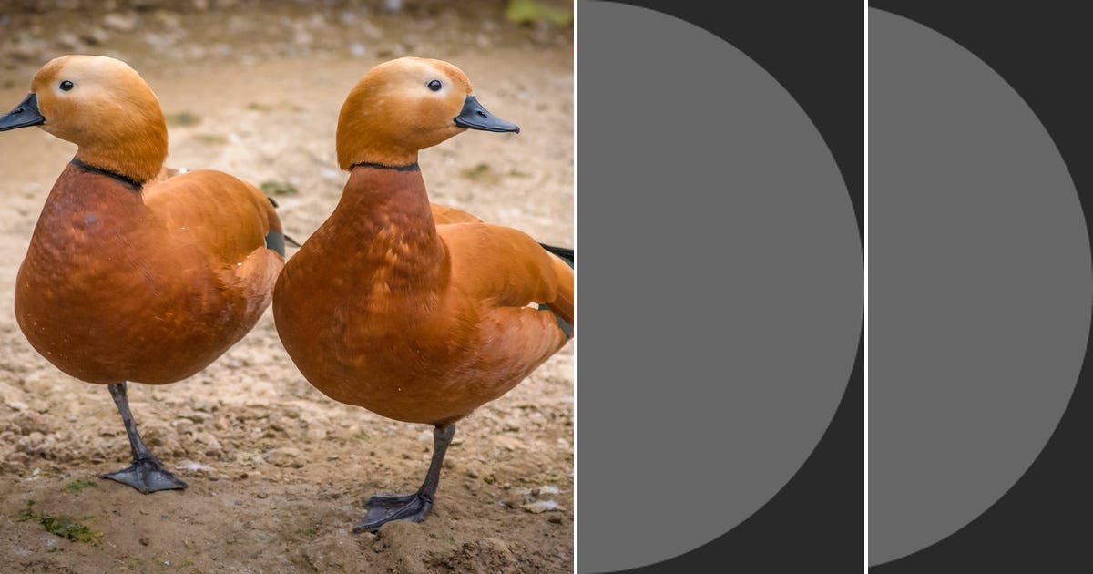 List: Sql | Curated by Sheikh Vazid | Medium