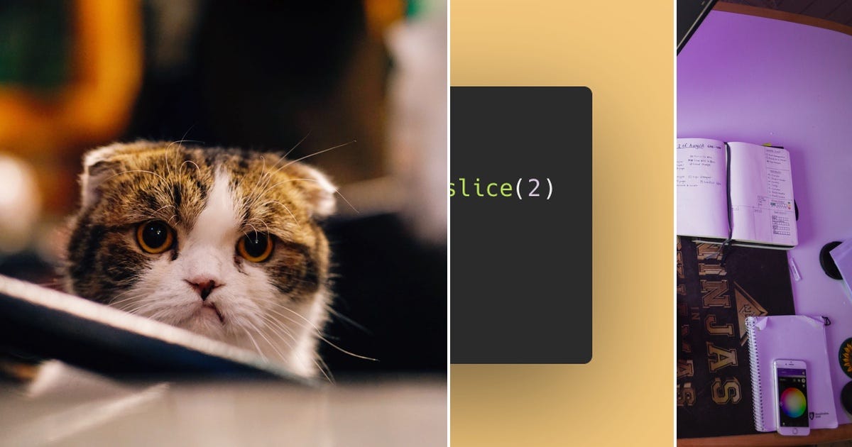 List: Javascript | Curated by Dudu Neto | Medium