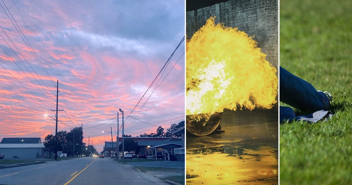 List: Alc | Curated by Suzanne Henderson | Medium