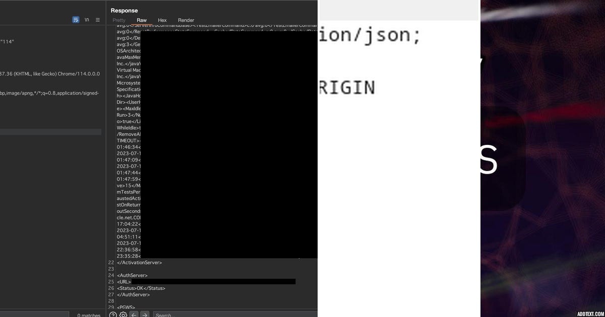 List: XXE | Curated by sl au | Medium