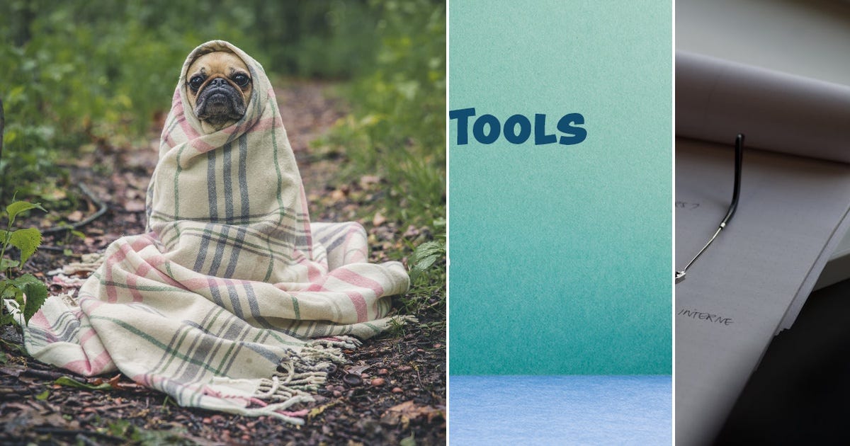 List: Saved | Curated by Noa Oliver | Medium