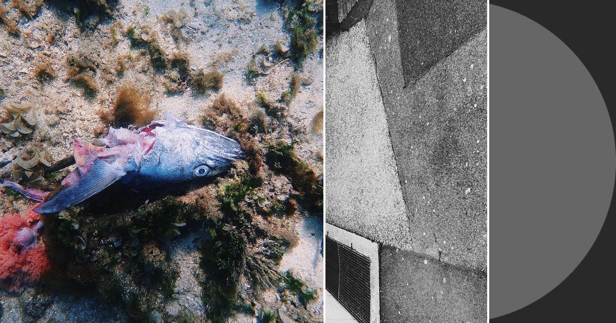 List: Nouvelles | Curated by Ton Jules | Medium