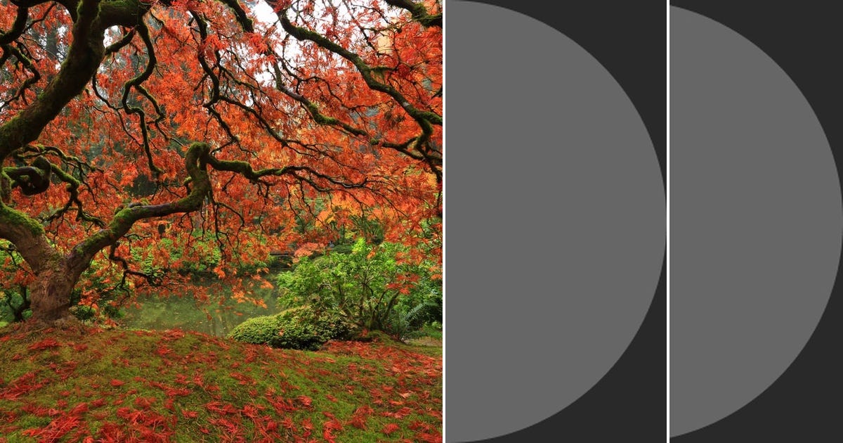 List: Classes | Curated by Devon Marcus | Medium