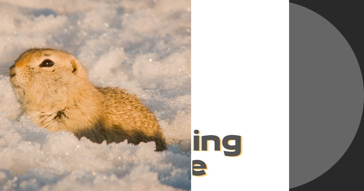 List: Carbon | Curated by Anna Mula | Medium