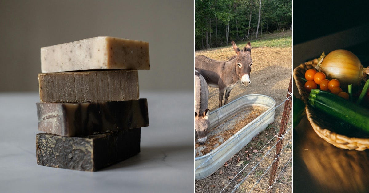 List: Homesteading | Curated by Emily Coe | Medium