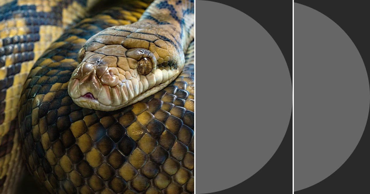 List: BMI its history, inaccuracy and used to stigmatise | Curated by ...