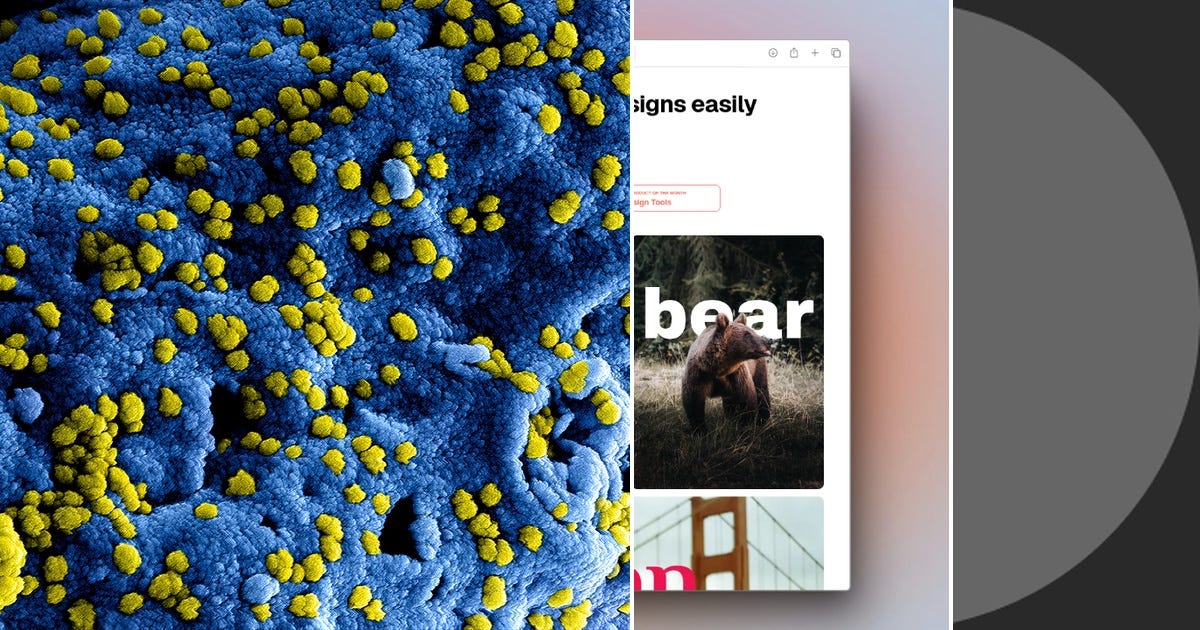 List: React | Curated by S Sankar | Medium