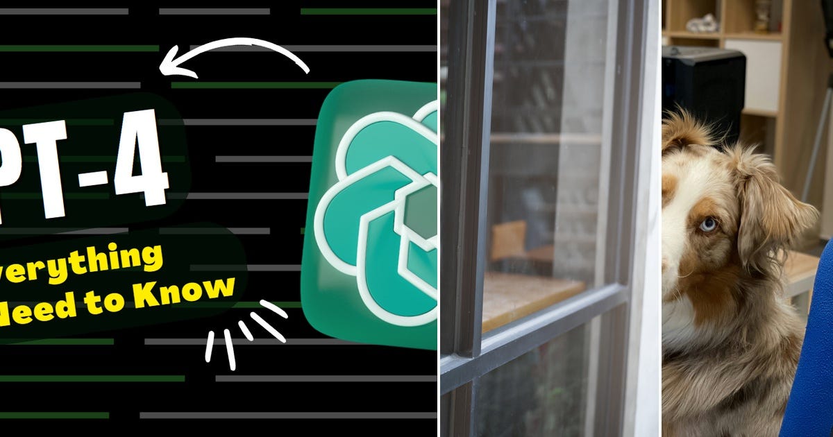 List: AI | Curated by Elisha Pearce | Medium