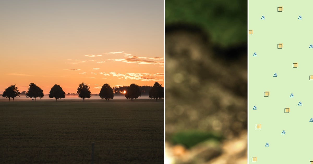 List: Classification | Curated by M Syazwan Onn | Medium