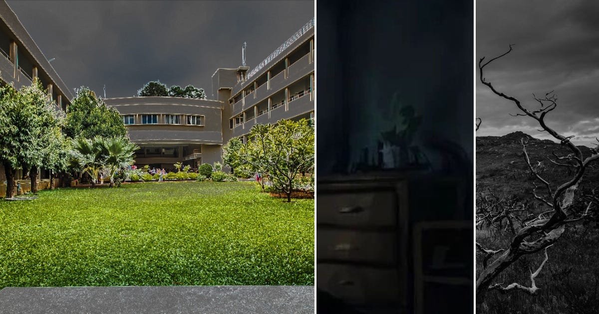 List: Orion and Lizzy | Curated by Zainab Anjum | Medium