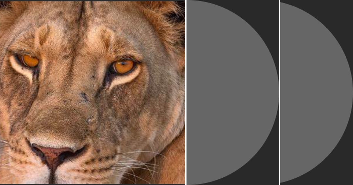 List: I’m loving it! | Curated by YU-CHUN CHEN | Medium