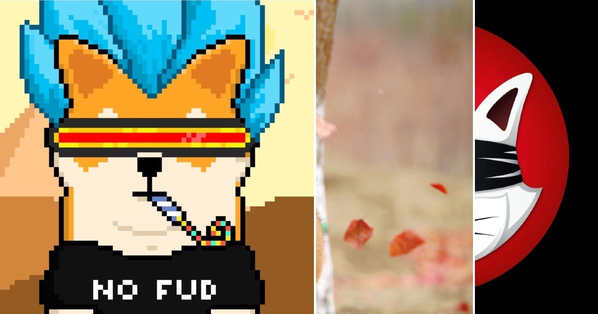 List: Shiba Swap | Curated by Daniel Belson | Medium