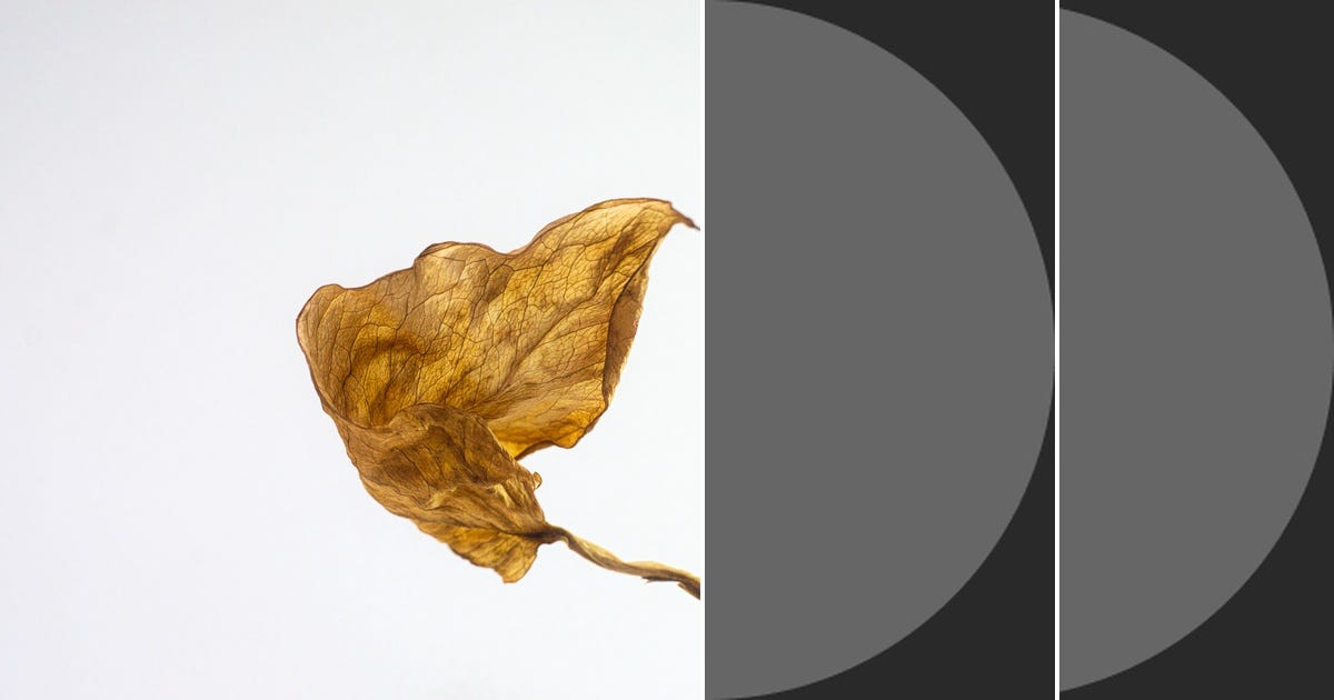 List: Useful | Curated by Joseph Trent Nixon | Medium