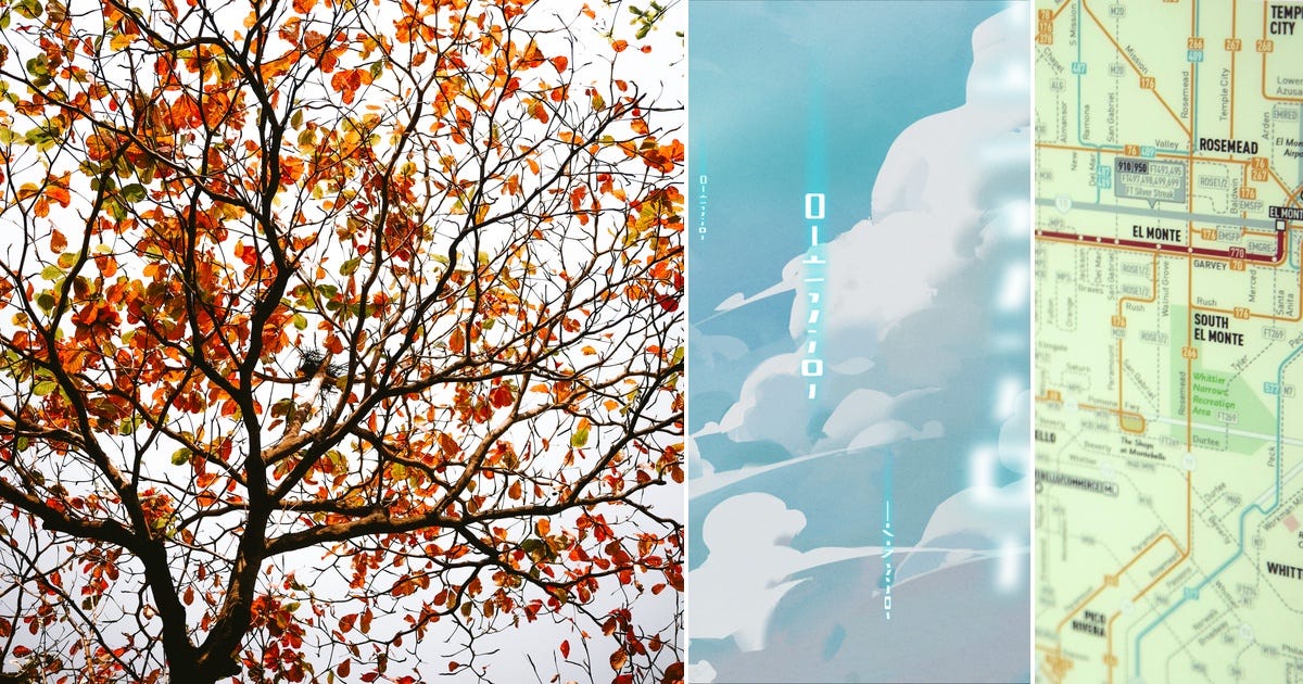 List: Python | Curated by Tolga Yavuzer | Medium