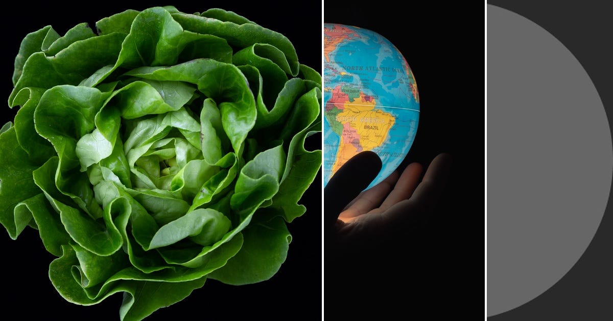 List: Non-Euclidean and Hyperbolic ML | Curated by Aniss Medbouhi | Medium