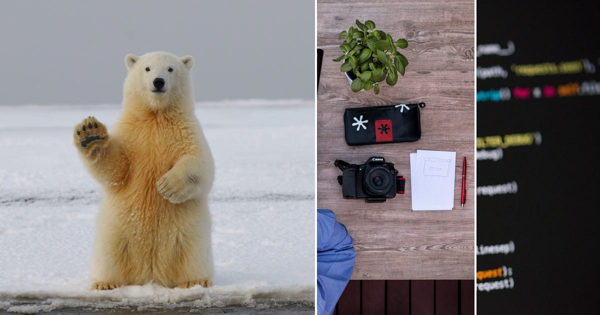 List: Python basic | Curated by Hiu Ching Tam | Medium