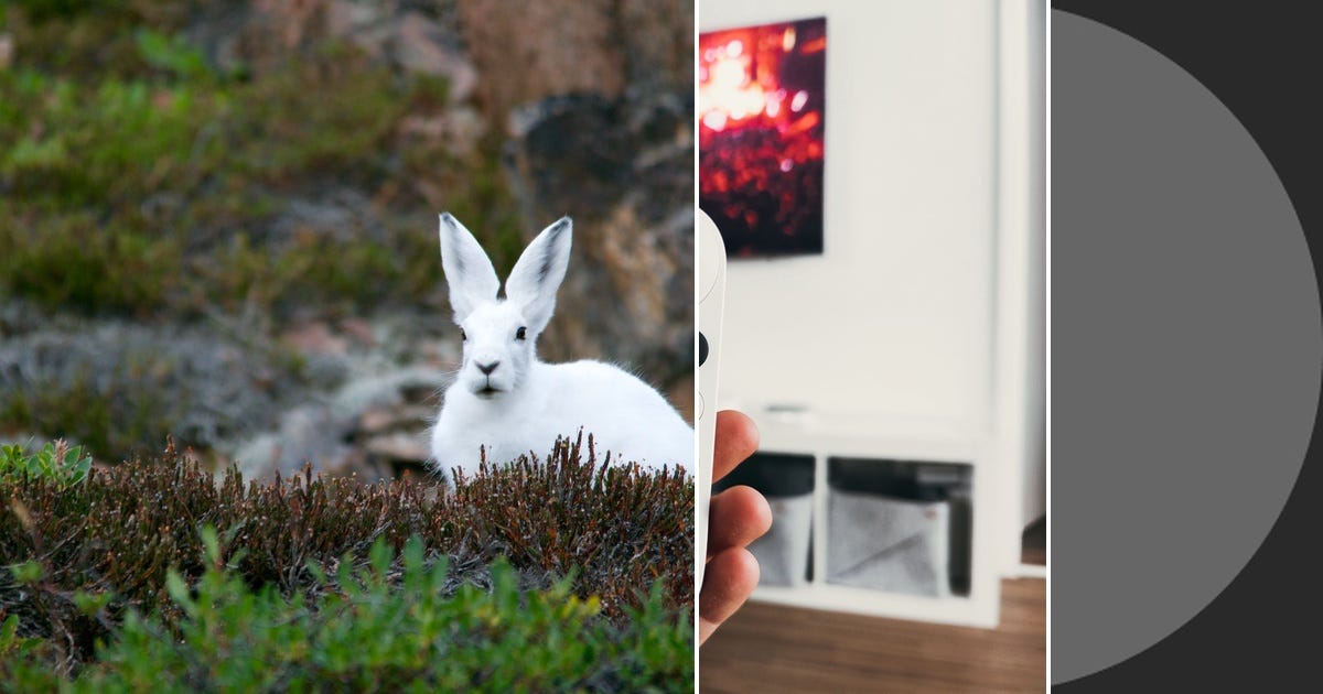 List: Functional programming | Curated by Frederick Price | Medium