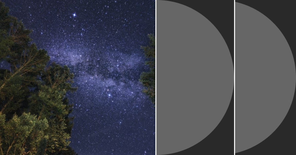 List: Encoding & Embedding | Curated by Thongnm | Medium