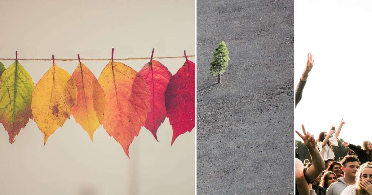 List: Shift | Curated by Michi | Medium