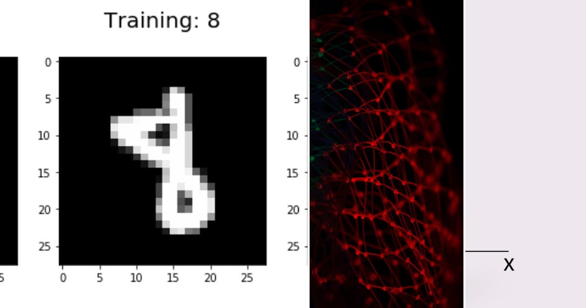 List: Logistic Regression | Curated by Lavone Rodolph | Medium