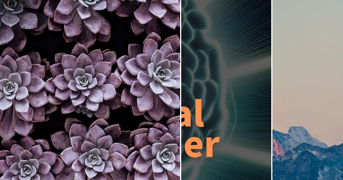 List: Bayes | Curated by Herman Muys | Medium