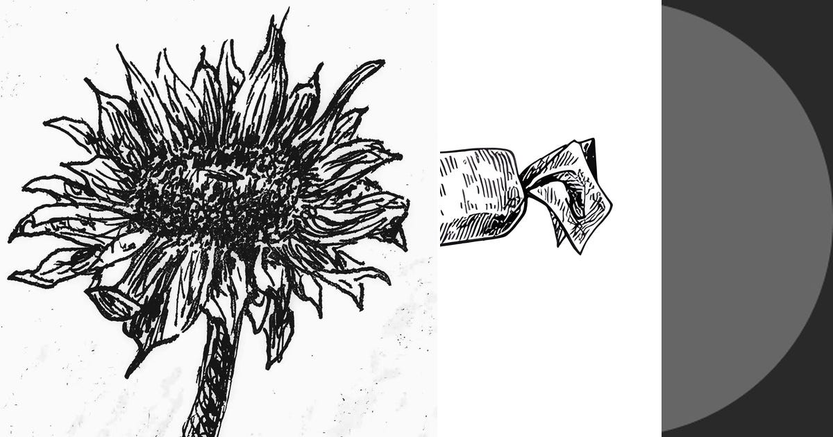 List: Song Translation | Curated by August Wang | Medium