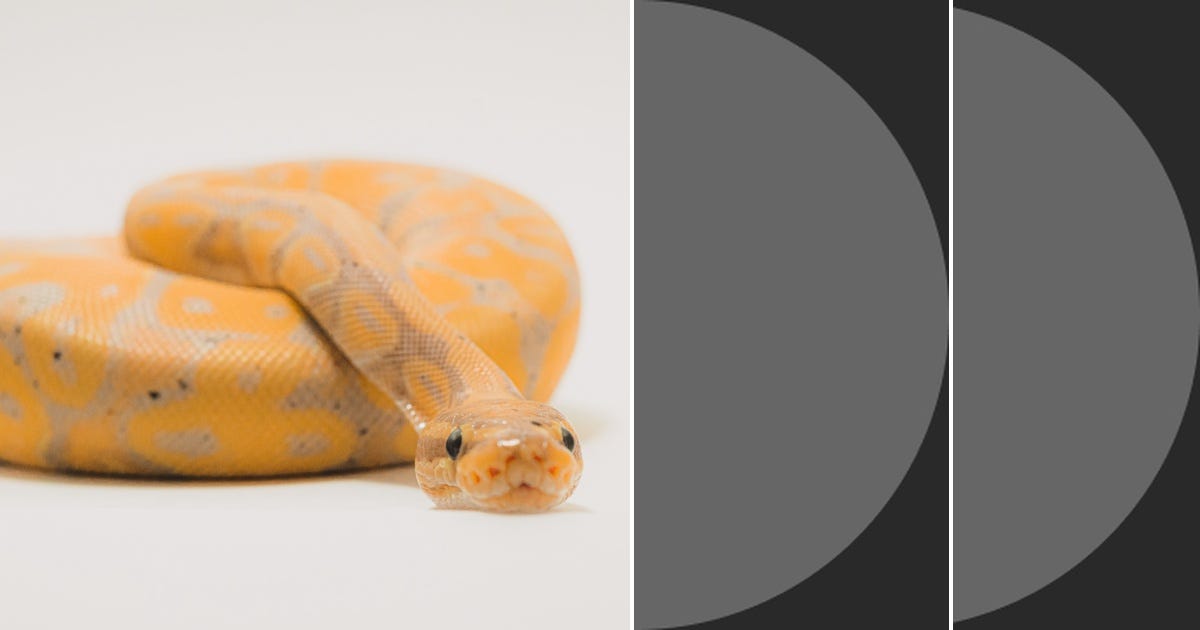 List: Python | Curated by Shivang sharma | Medium