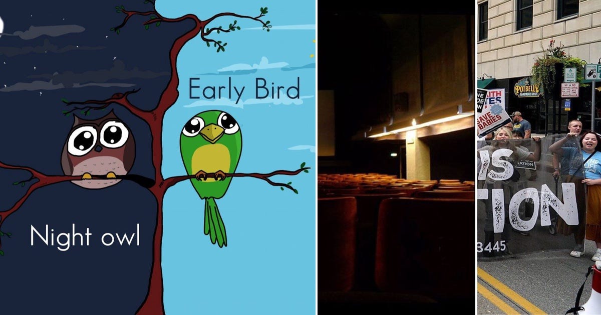 List: Argumentative Essay 📝🗣️ | Curated by Creative Writing & Book ...