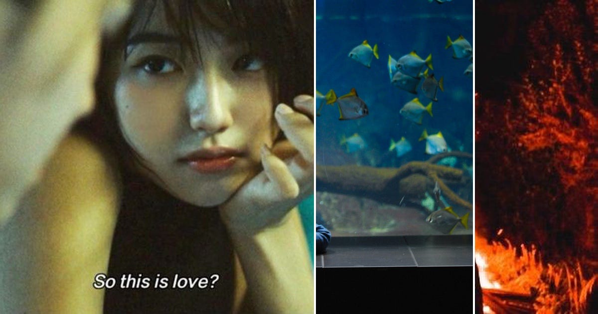 List: ⏤͟͟͞͞ ☆ | Curated by eris Ꮺ˚࿔ | Medium