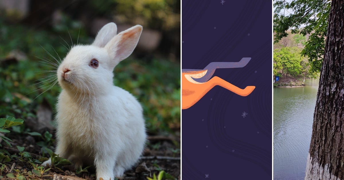 List: RabbitMQ | Curated by jasonkelly6 | Medium