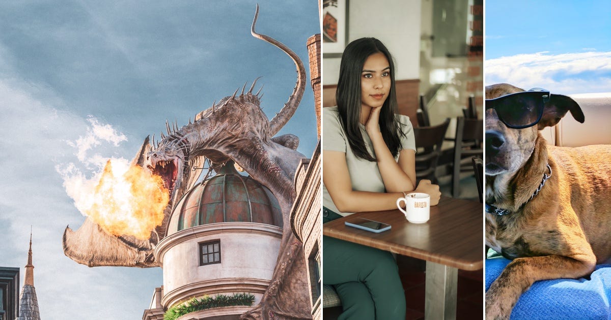 List: Freelance | Curated by Rhonda Rose | Medium