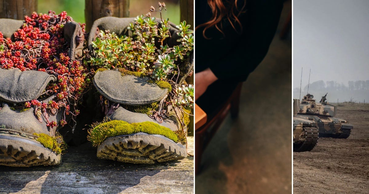 List: My reads | Curated by Willz | Medium