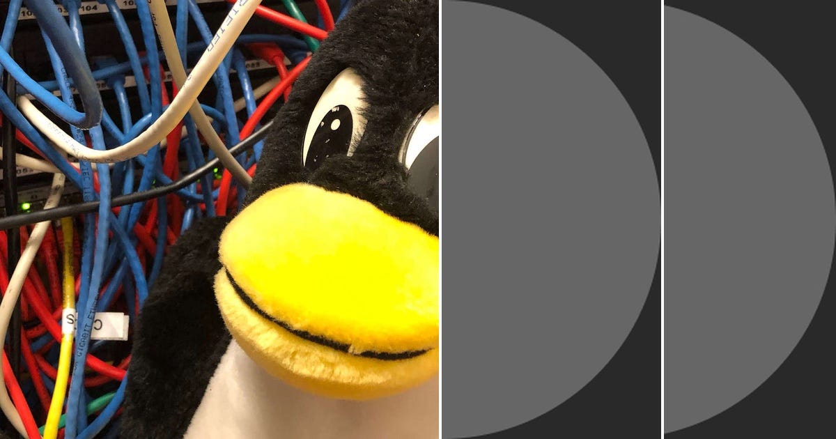 List: Falco | Curated by Gary Chen | Medium