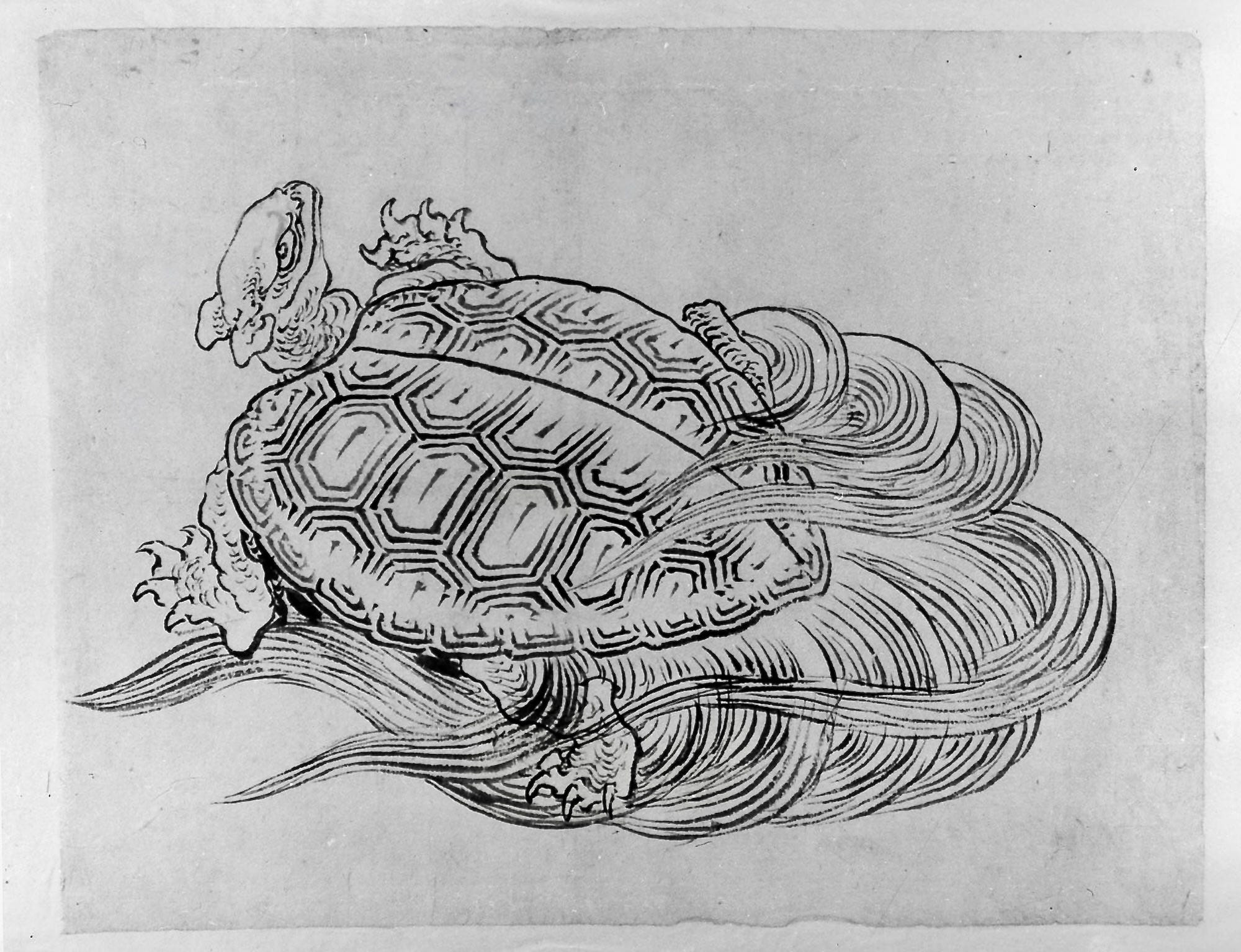 Japanese Tortoise Tattoo Tortoises, Longevity, And Strangely Hairy
